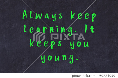 Chalk wise inscription on black chalkboard - Stock Illustration ...