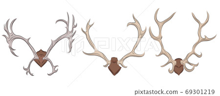 Set of different deer antlers. - Stock Illustration [69301219] - PIXTA