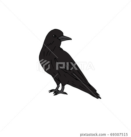 Vector hand drawn doodle sketch colored raven - Stock Illustration ...