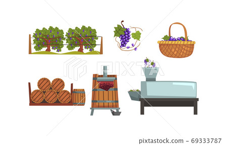 Wine Production Process, Alcoholic Beverages... - Stock Illustration ...