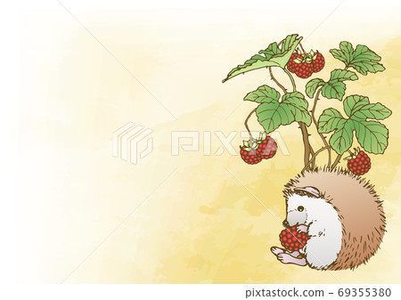 Hedgehog and raspberry - Stock Illustration [69355380] - PIXTA