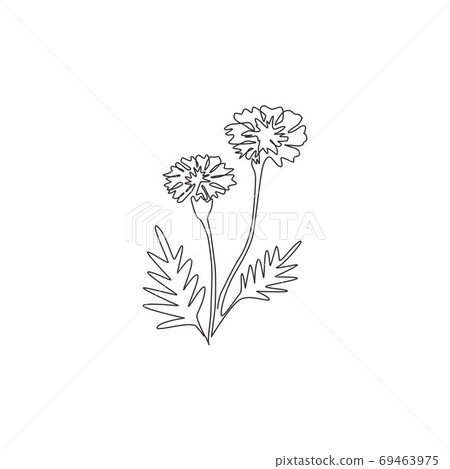 Single one line drawing of beauty fresh tagetes... - Stock Illustration ...