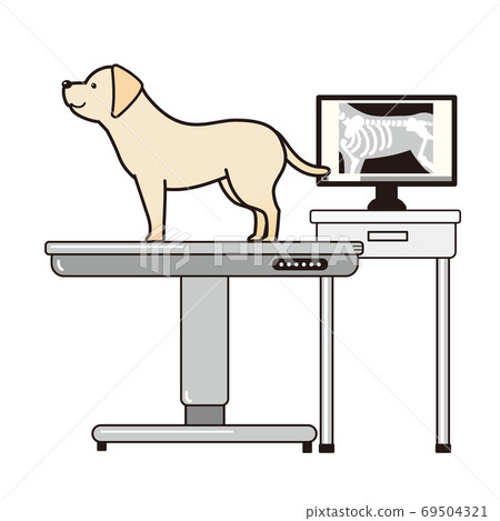 Labrador retriever and digital X-ray on the... - Stock Illustration ...