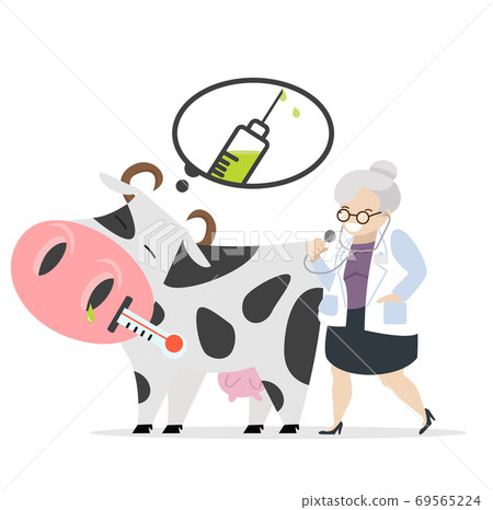 Sick cow Swine Flu with veterinarian - Stock Illustration [69565224 ...