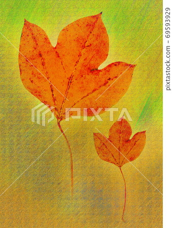 Konoha Art Tulip Tree - Stock Illustration [69593929] - PIXTA
