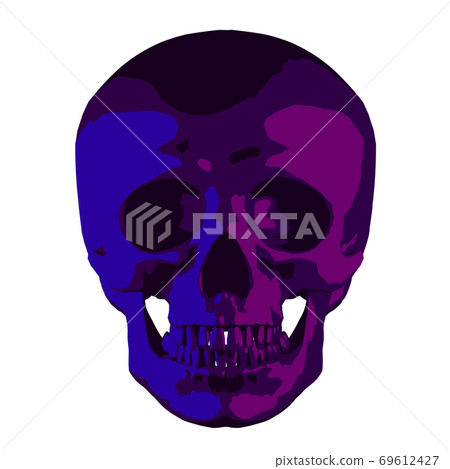 Human anatomical purple-violet skull isolated... - Stock Illustration ...