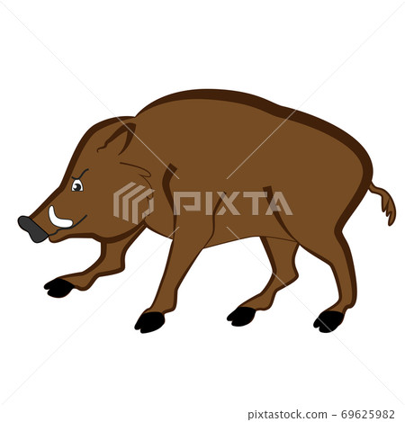 A male wild boar with sharp fangs. - Stock Illustration [69625982] - PIXTA