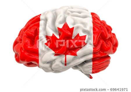 Human brain with Canadian flag. Scientific... - Stock Illustration ...