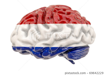 Human brain with the Netherlands flag.... - Stock Illustration ...