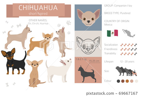 Labollie_1-插圖素材 [69667167] - PIXTA圖庫