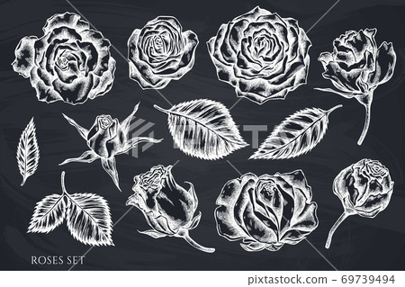 Vector set of hand drawn chalk roses - Stock Illustration [69739494 ...