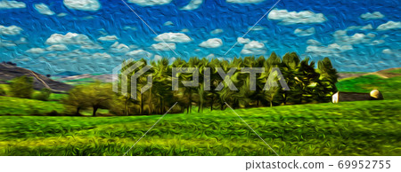 Rural landscape with grove on green fields - Stock Illustration ...