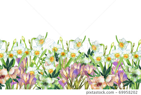 Winter flower field daffodils, crocuses,... - Stock Illustration ...