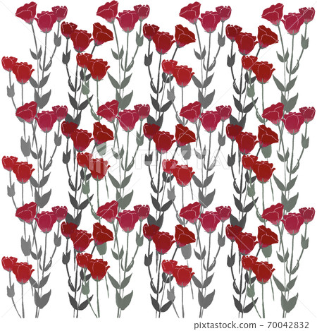 Flower field of red flowers - Stock Illustration [70042832] - PIXTA