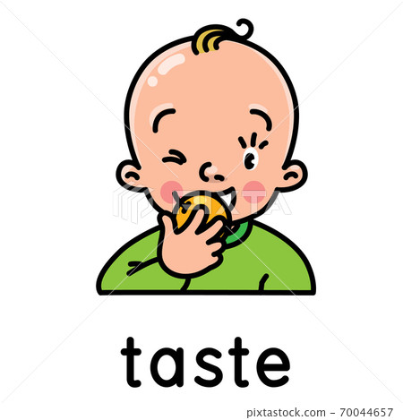 Taste. Icon of one of five senses - Stock Illustration [70044657] - PIXTA