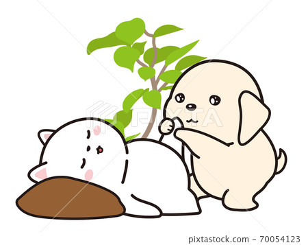 Cat undergoing manipulative treatment - Stock Illustration [70054123 ...