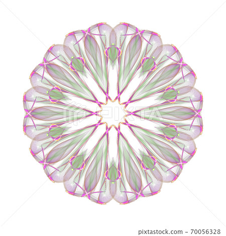 Beautiful decagon (transparent PNG background)... - Stock Illustration ...