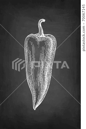 Chalk sketch of long bell pepper. - Stock Illustration [70067145] - PIXTA