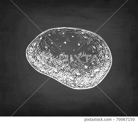 Chalk sketch of potato.-插圖素材 [70067150] - PIXTA圖庫
