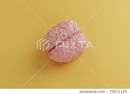 human pink brain model on yellow background,... - Stock Illustration ...