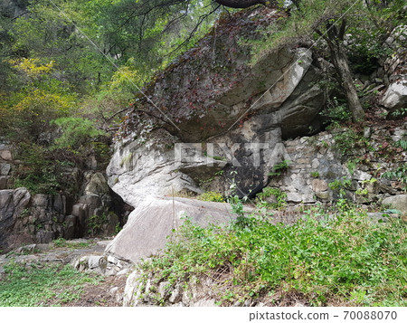 Circumference In Nature