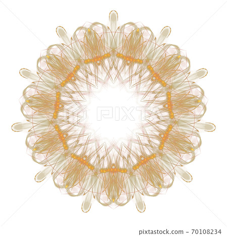 Beautiful hendecagon (transparent PNG... - Stock Illustration [70108234 ...