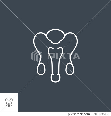 Male Reproductive System Vector Line Icons - Stock Illustration ...