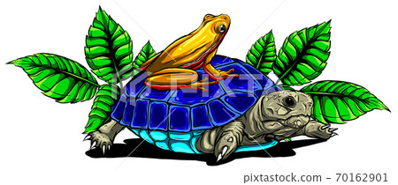 Frog and Turtle vector illustration graphics art - Stock Illustration ...