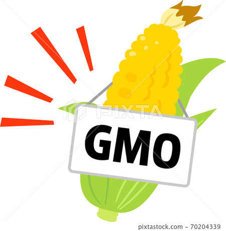 Corn with genetically modified labeling - Stock Illustration [70204339 ...