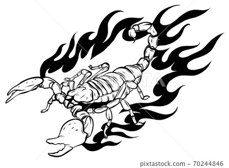 This scorpion with fire vector illustration design - Stock Illustration ...
