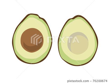 Simple avocado cross section - Stock Illustration [70288674] - PIXTA