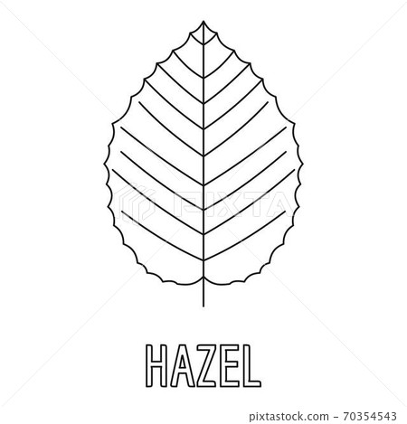 Hazel leaf icon, outline style. - Stock Illustration [70354543] - PIXTA