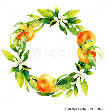 Hand drawn blooming mandarin tree branches,... - Stock Illustration ...