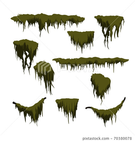 Green swamp moss on white background. Forest... - Stock Illustration ...