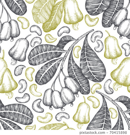 Hand drawn sketch Cashew seamless pattern.... - Stock Illustration ...