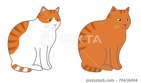 Sit brown white cat and chatora - Stock Illustration [70416004] - PIXTA
