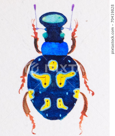 Fancy bug - Stock Illustration [70419828] - PIXTA