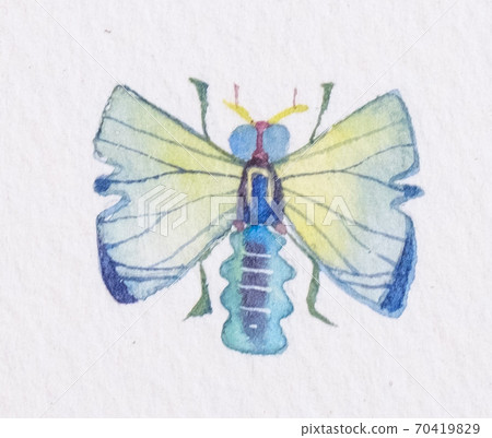 Fancy bug - Stock Illustration [70419829] - PIXTA