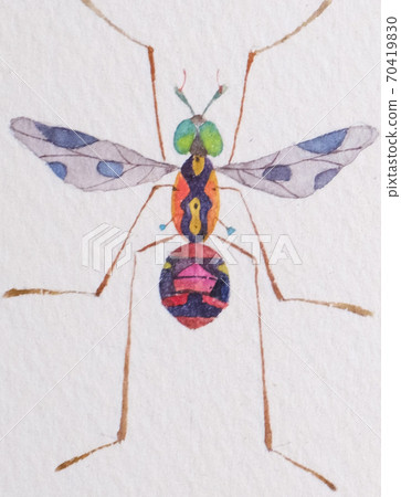 Fancy bug - Stock Illustration [70419830] - PIXTA