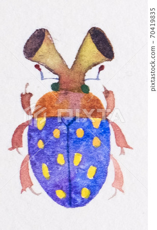 Fancy bug - Stock Illustration [70419835] - PIXTA