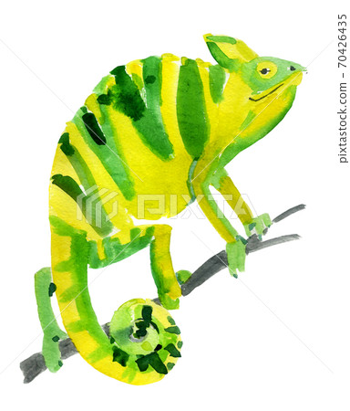 Handwork watercolor illustration of chameleon... - Stock Illustration ...