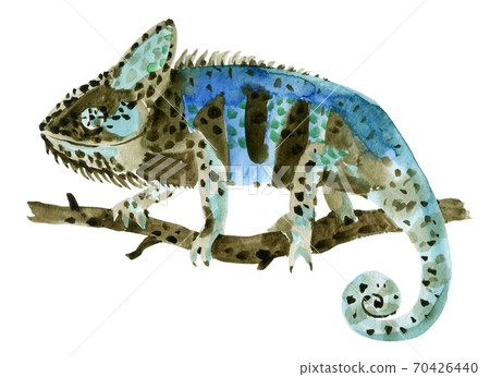 Handwork watercolor illustration of chameleon... - Stock Illustration ...
