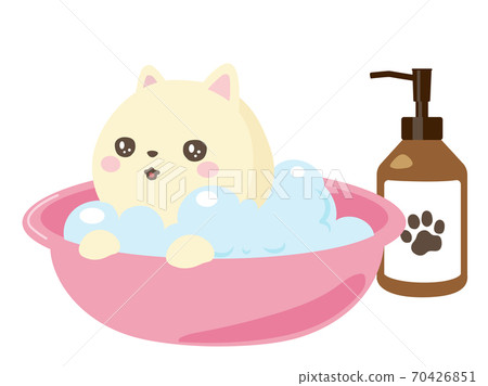 Shampoo cat - Stock Illustration [70426851] - PIXTA