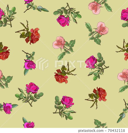 Abstract pattern of floral rows. Flowers and grass - Stock Illustration ...