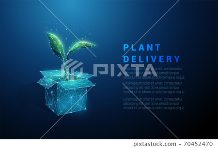 Abstract low poly open box and green plant - Stock Illustration ...