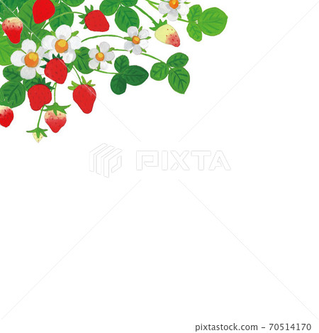 Strawberry illustration frame upper left corner - Stock Illustration ...