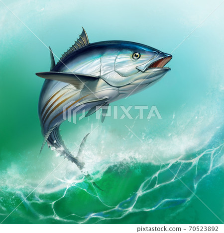 striped tuna, Skipjack Tuna, Katsuwonus... - Stock Illustration ...