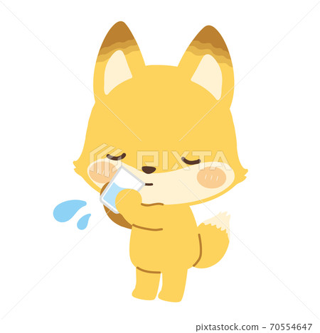 Fox drinking water - Stock Illustration [70554647] - PIXTA