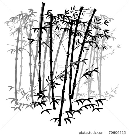 Monochrome illustration of bamboo grove - Stock Illustration [70606213 ...