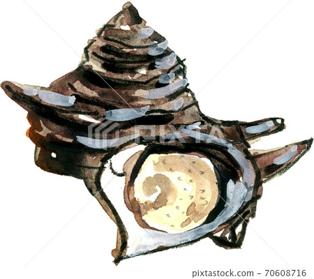 Sasae - Stock Illustration [70608716] - PIXTA